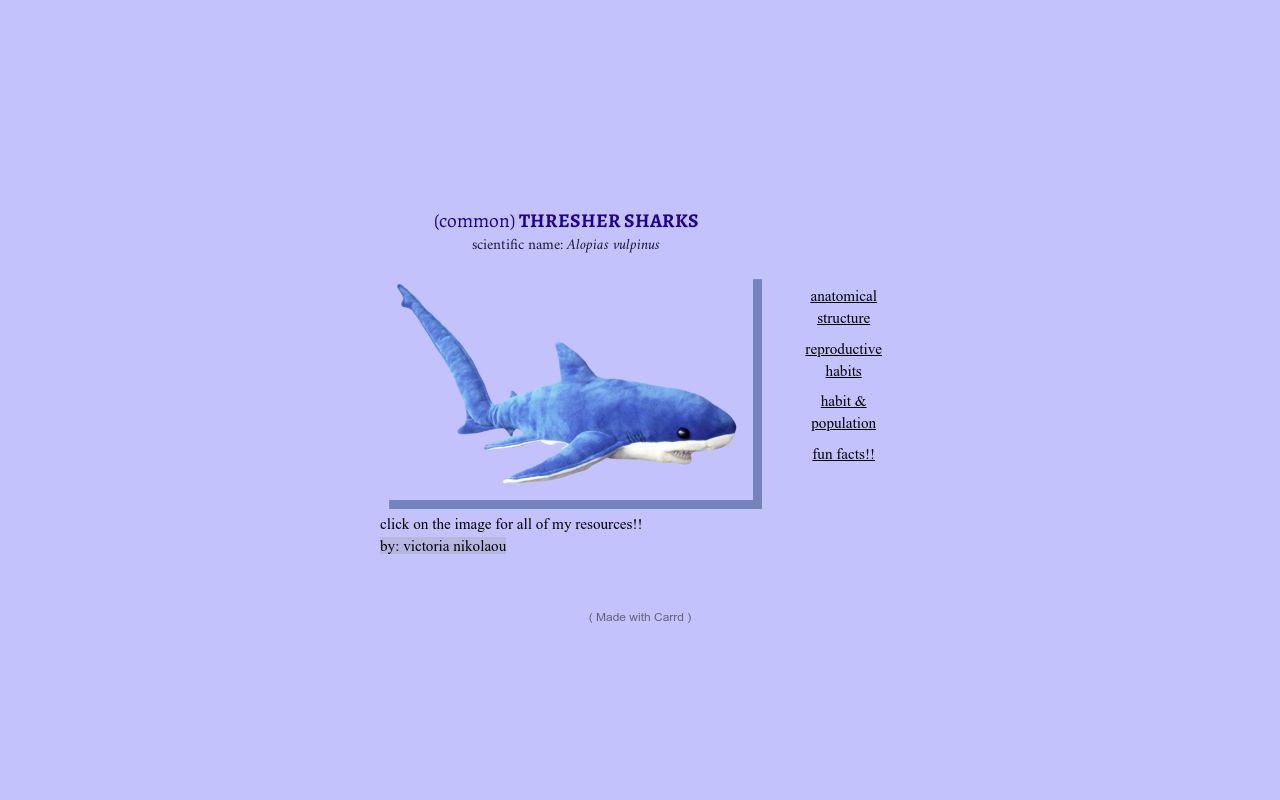 thresher sharks research project